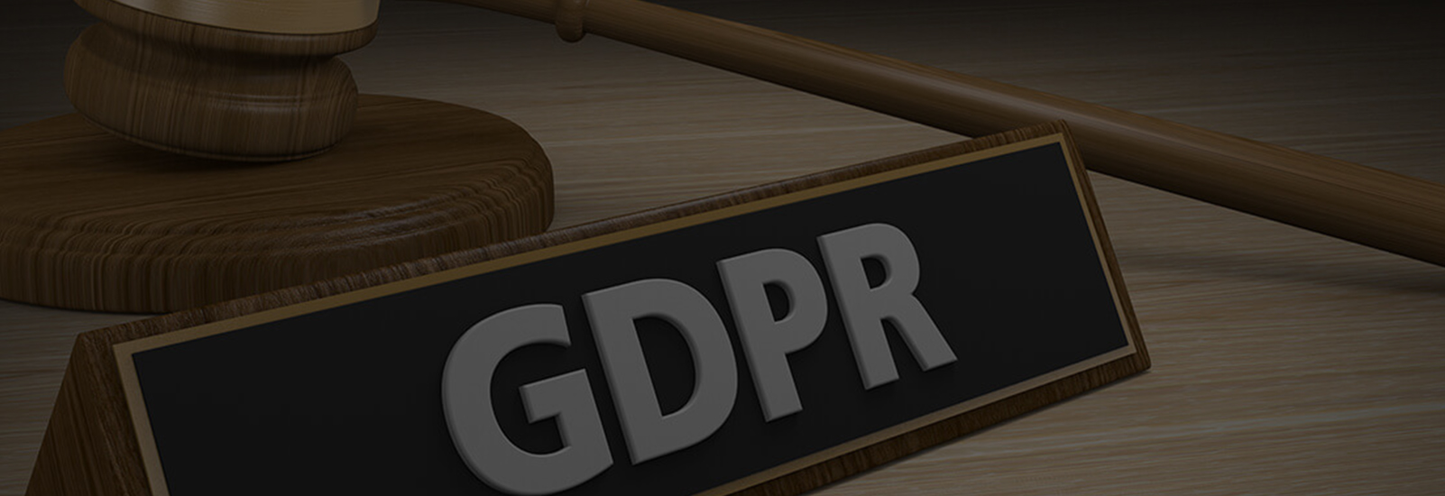 GDPR Case History - Global Cyber Security Firm for Business